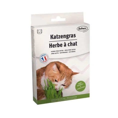Bubimex Hierba Gatera 100g Gatos | Patitas&co