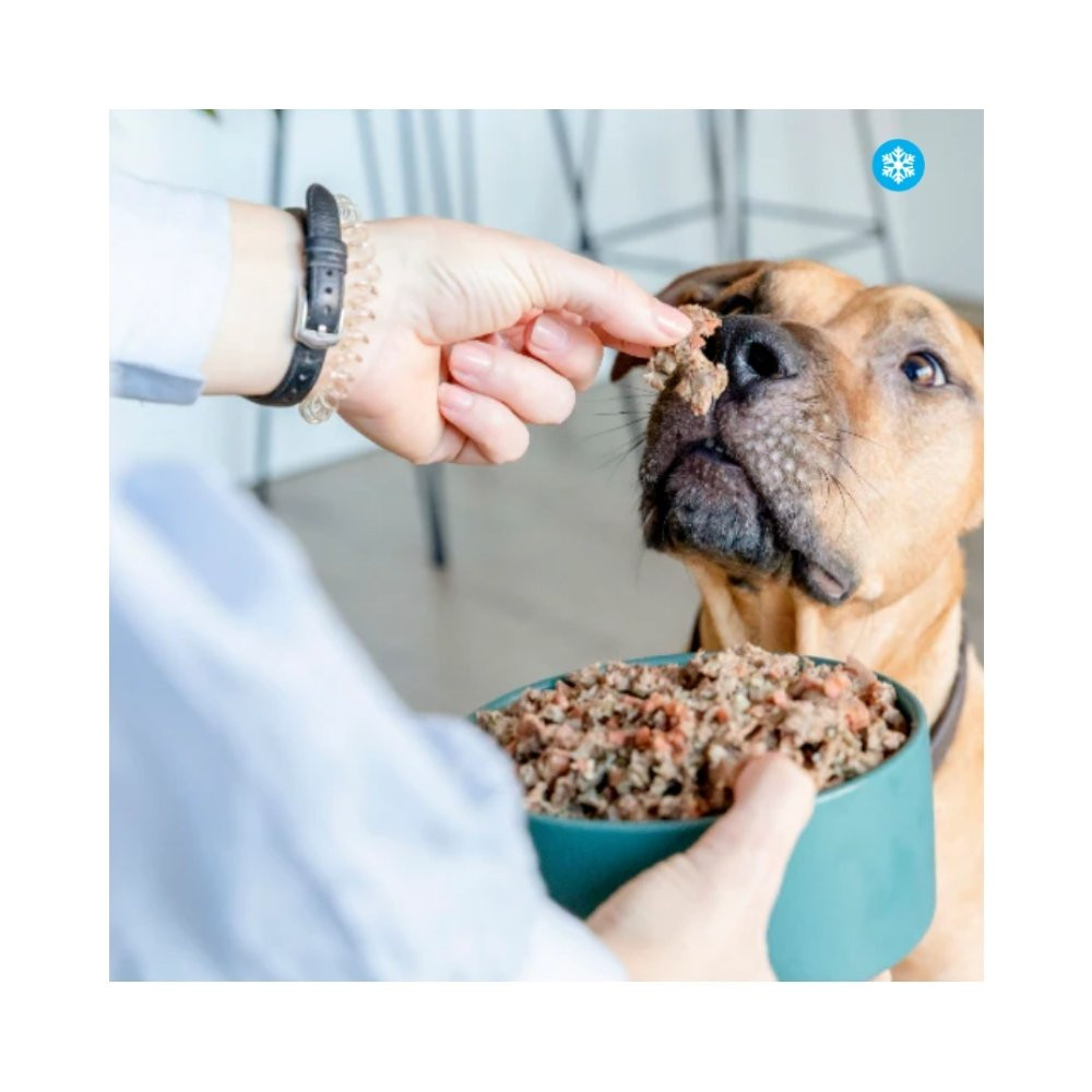 Food for Joe Beefit Ternera para Perros | Patitas&co