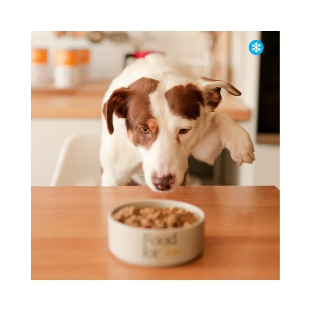 Food for Joe Roosterbooster de Pollo para Perro | Patitas&co