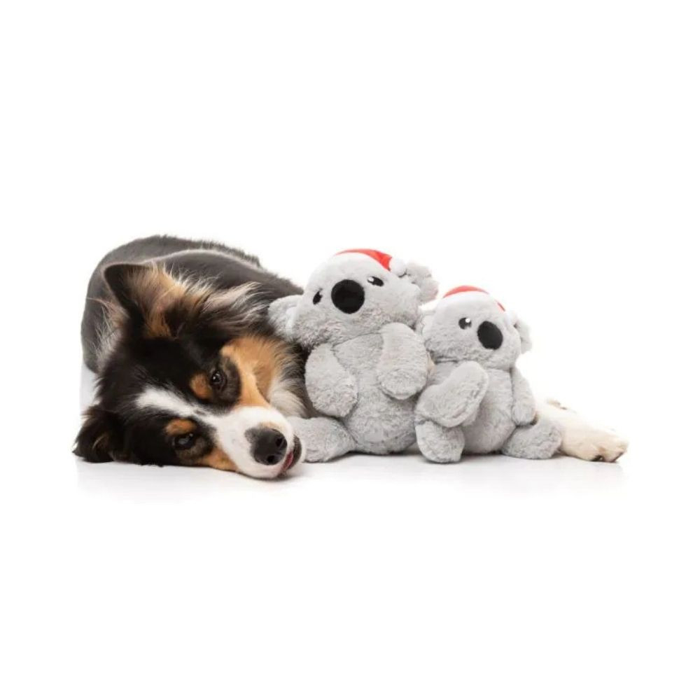 FuzzYard Juguete Navideño Koala para Perro | Patitas&co