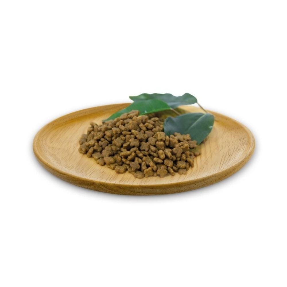 Natural Greatness Wild Instinct Gatos Gatitos | Patitas&co