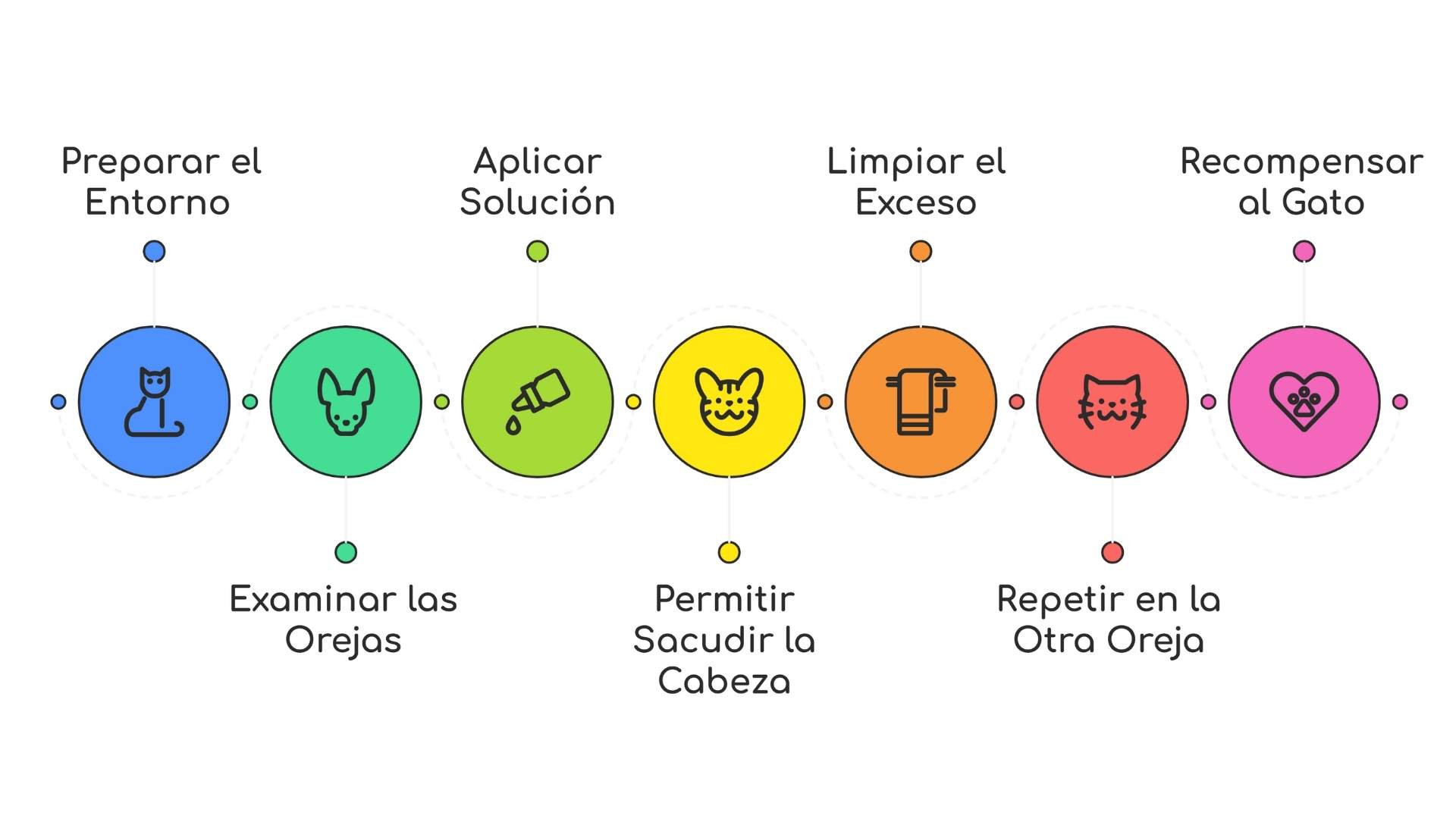 Cómo limpiar las orejas a un gato: guía práctica paso a paso
